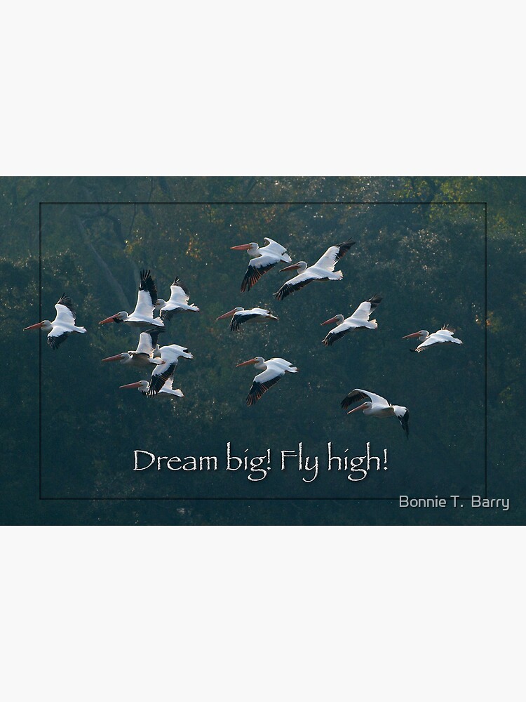 "Dream Big! Fly High!" Poster for Sale by Miracles | Redbubble