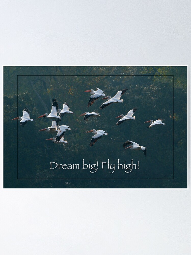 "Dream Big! Fly High!" Poster for Sale by Miracles | Redbubble