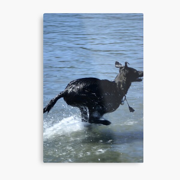 Spring Loaded Gifts & Merchandise | Redbubble