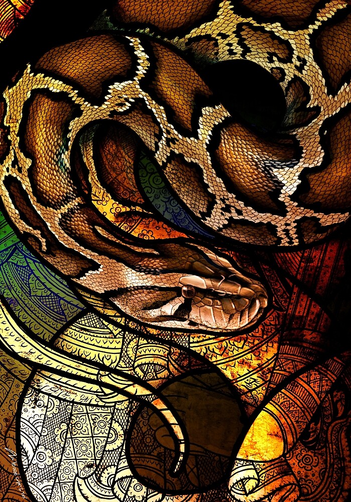 "Burmese Python" by CulpeoFox | Redbubble