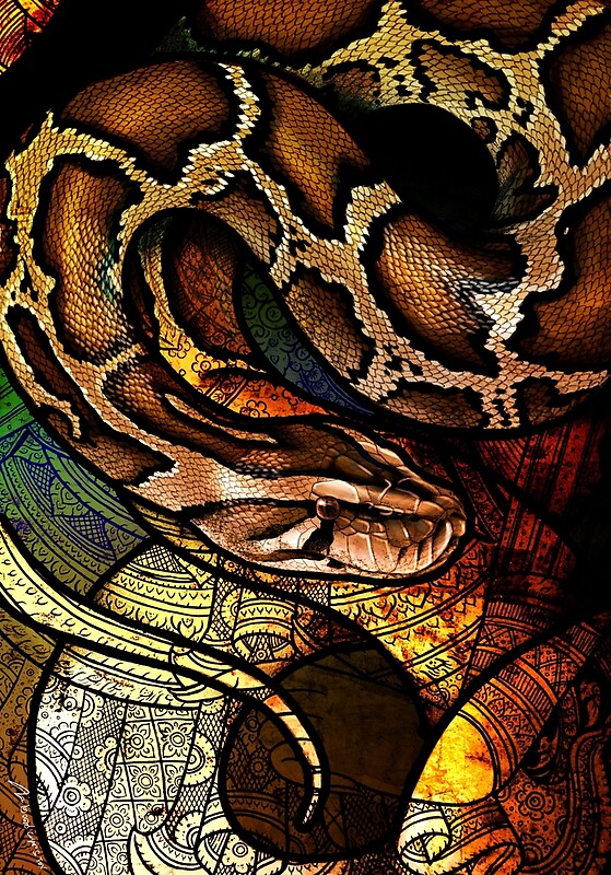 "Burmese Python" by CulpeoFox | Redbubble