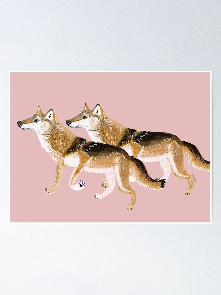 "Totem Honshu Wolf" Poster by belettelepink | Redbubble