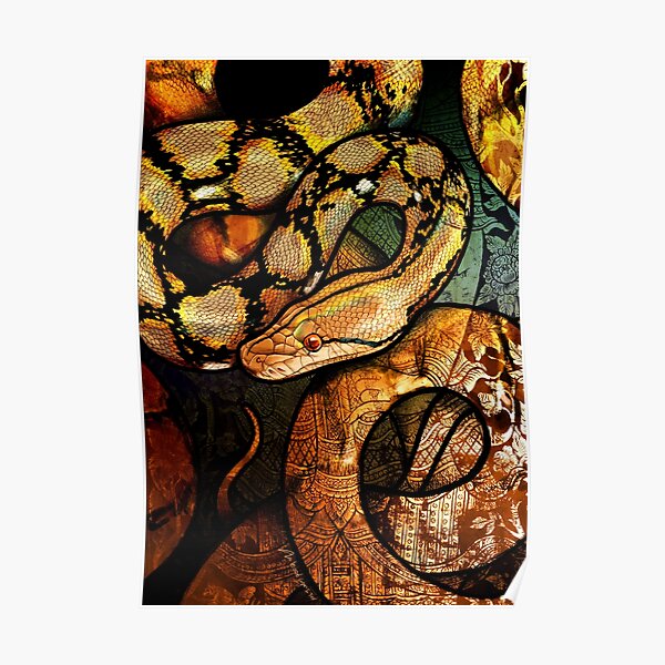 Póster «Pitón reticulada» de CulpeoFox | Redbubble