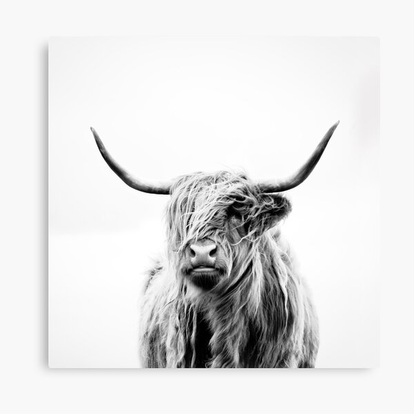 Highlander Gifts & Merchandise for Sale | Redbubble