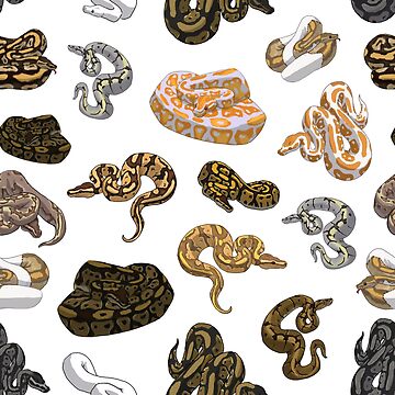 "Ball Python Morph Snake Pattern" Sticker for Sale by Stormslegacy ...