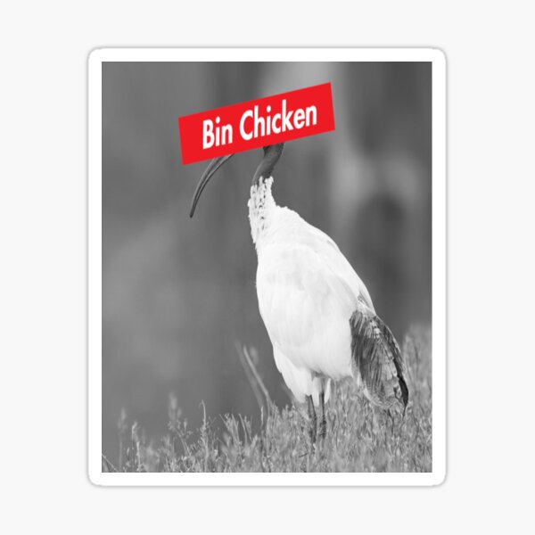 Bin Chicken Stickers | Redbubble