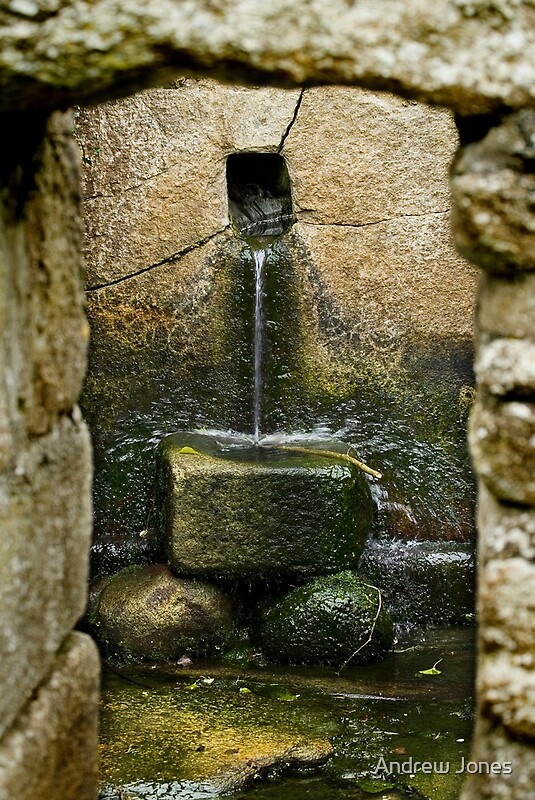 "St Moling's Well, St Mullins, County Carlow, Ireland" by Andrew Jones ...
