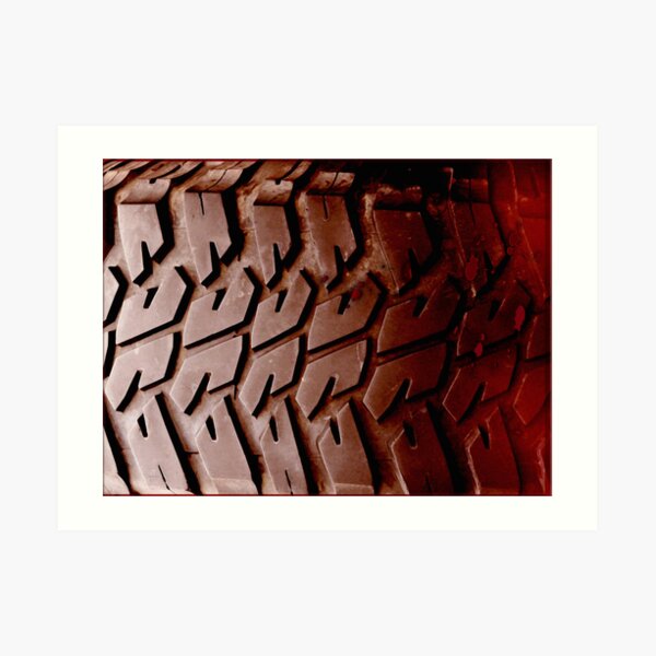 Roadkill Art Prints | Redbubble