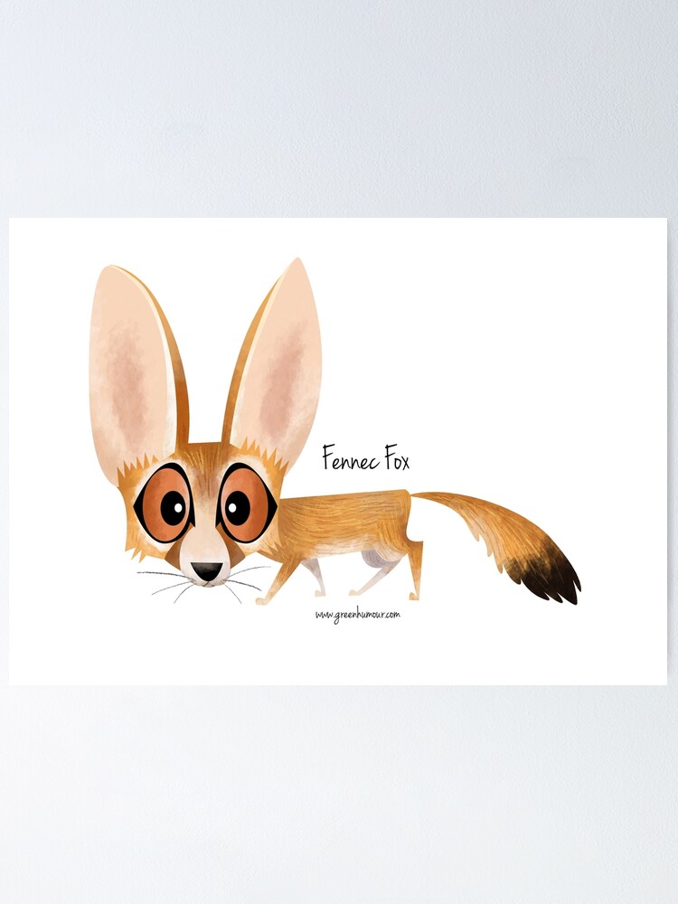 "Fennec Fox" Poster by rohanchak | Redbubble