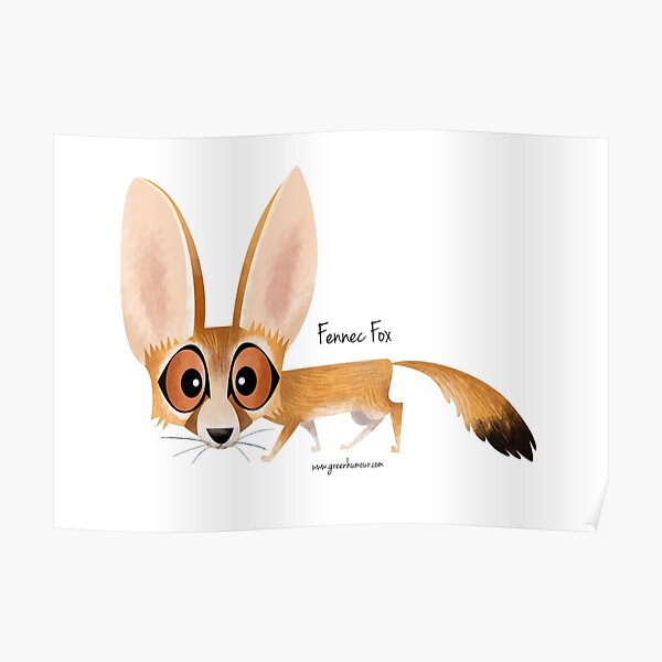 "Fennec Fox" Poster by rohanchak | Redbubble