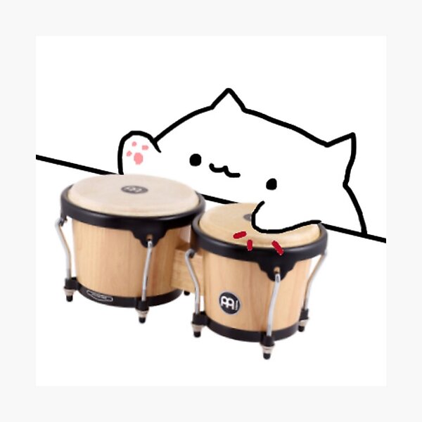 "Bongo Cat Meme" Photographic Print by Stickergorl | Redbubble