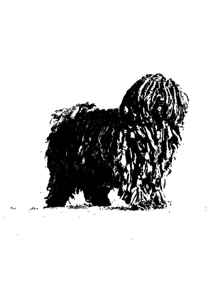 Puli Logo