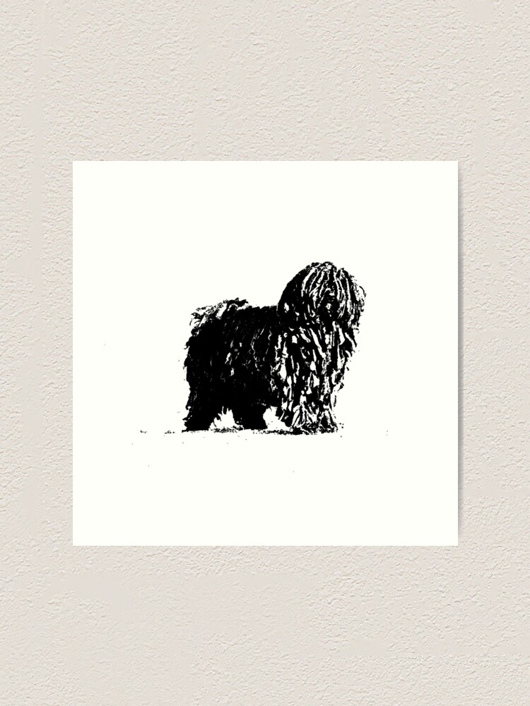 "Black Hungarian Puli Dog Drawing" Art Print by k0rry | Redbubble