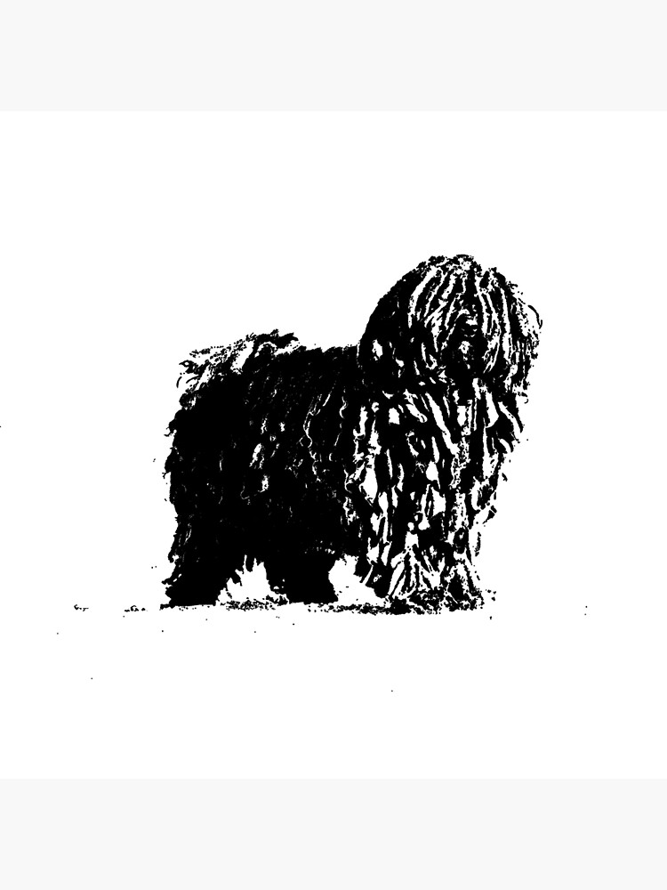 "Black Hungarian Puli Dog Drawing" Art Print by k0rry | Redbubble