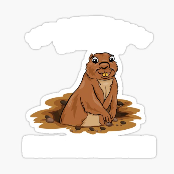 "YOU DON'T KNOW YOUR BUTT FROM A GOPHER HOLE" Sticker for Sale by Jecolds | Redbubble
