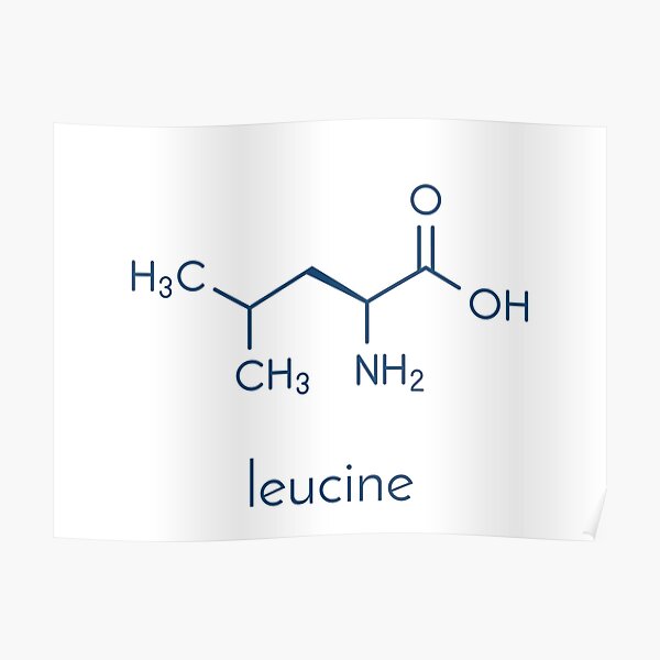 "Leucine (l-leucine, Leu, L) amino acid molecule. " Poster by molekuul ...