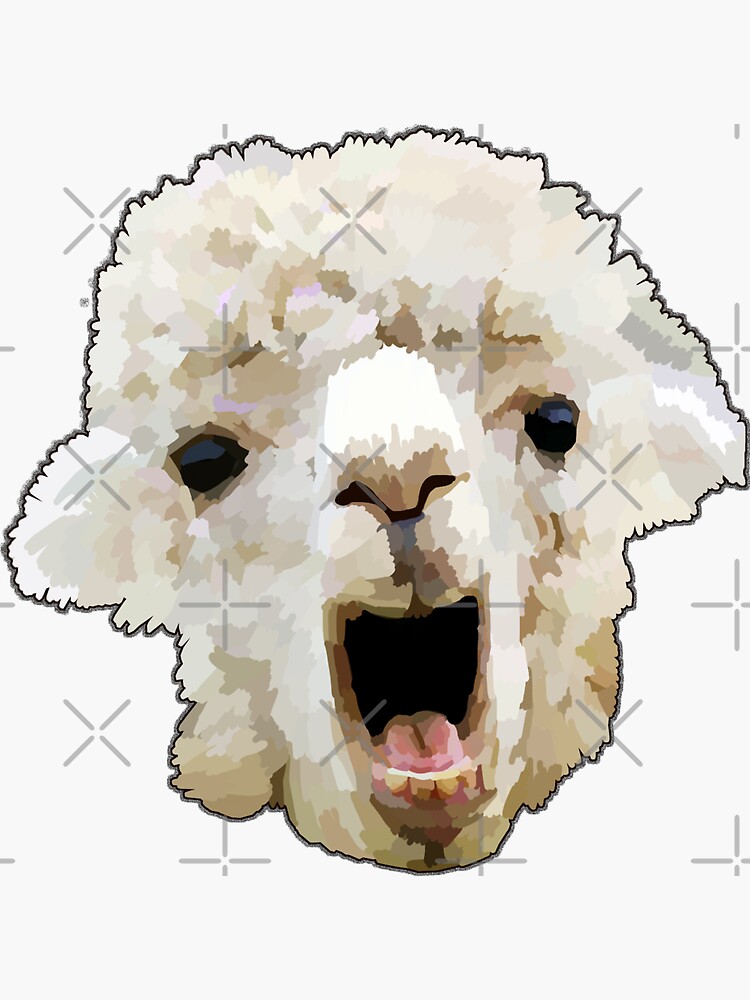 "shocked Llama" Sticker for Sale by chateauteabag | Redbubble