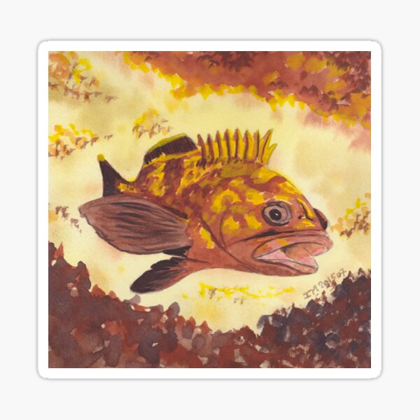 "grouper" Sticker for Sale by Zamen | Redbubble