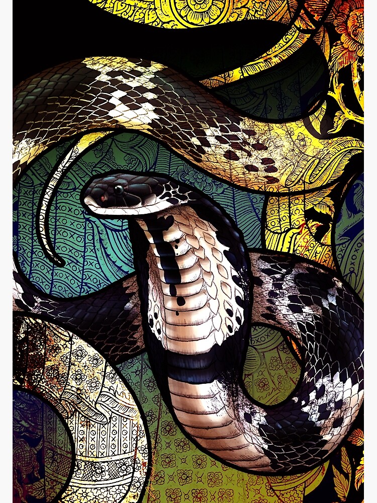 "Indo-Chinese Spitting Cobra" Poster by CulpeoFox | Redbubble