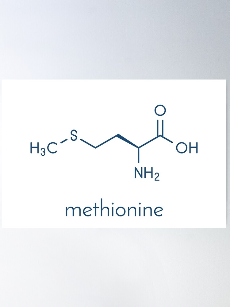 Methionine Lewis Structure