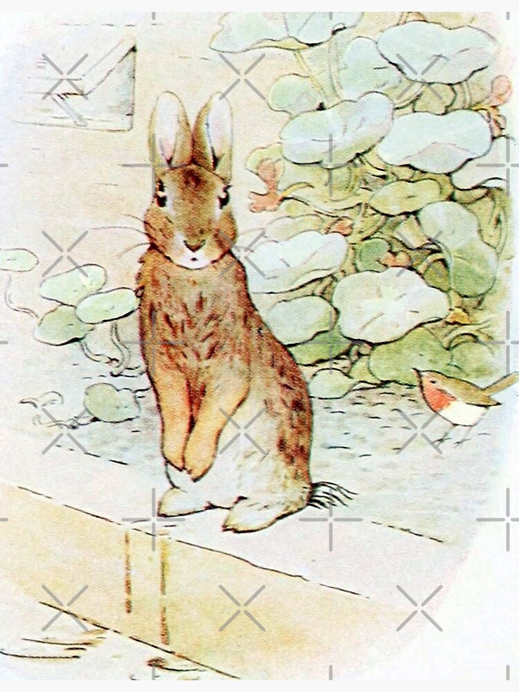 "Peter Rabbit Lost in the Garden" Framed Art Print by forgottenbeauty ...