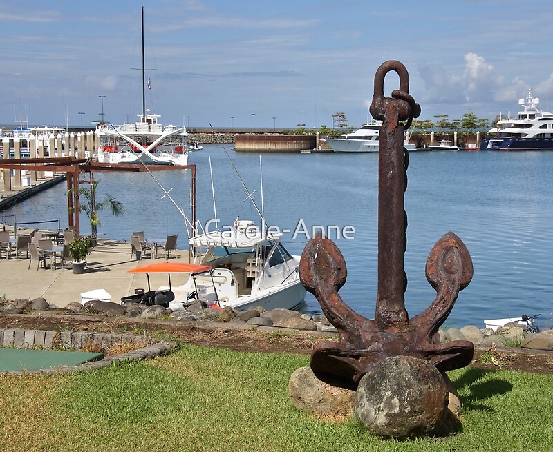 "The Harbour at Quepos " by Carole-Anne | Redbubble