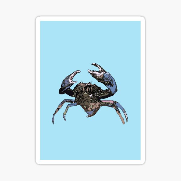 "Mud crab or mangrove crab (Scylla serrata)" Sticker for Sale by ...