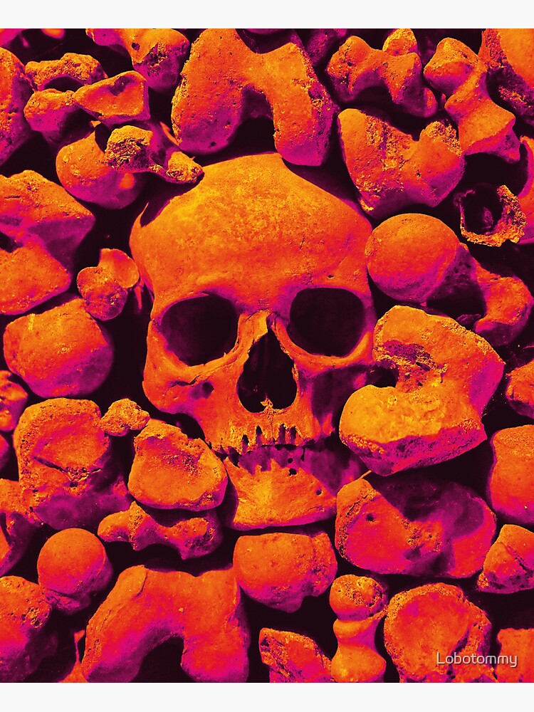 "Funky Skull and bones" Sticker by Lobotommy | Redbubble