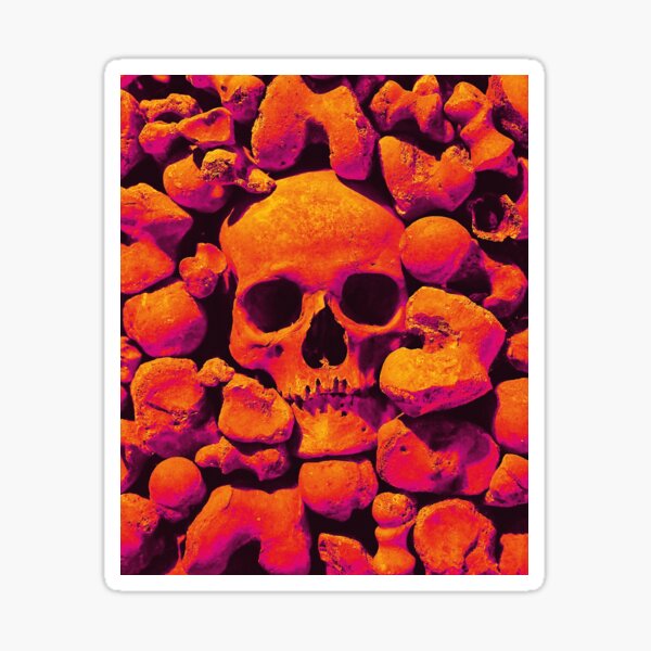"Funky Skull and bones" Sticker by Lobotommy | Redbubble