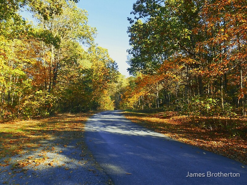 "Colorful Country Road" by James Brotherton | Redbubble