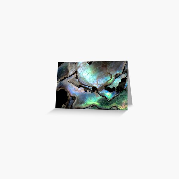 "Paua" Greeting Card for Sale by VanOostrum | Redbubble