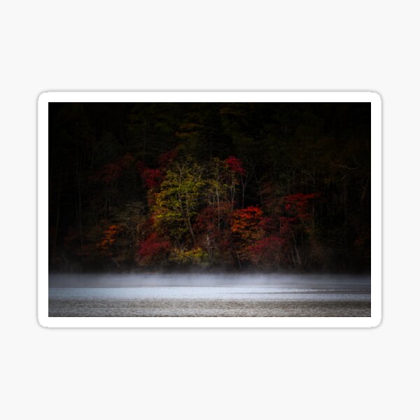 "Lake Side Autumn Forest Fog" Sticker for Sale by MrEddie10 | Redbubble
