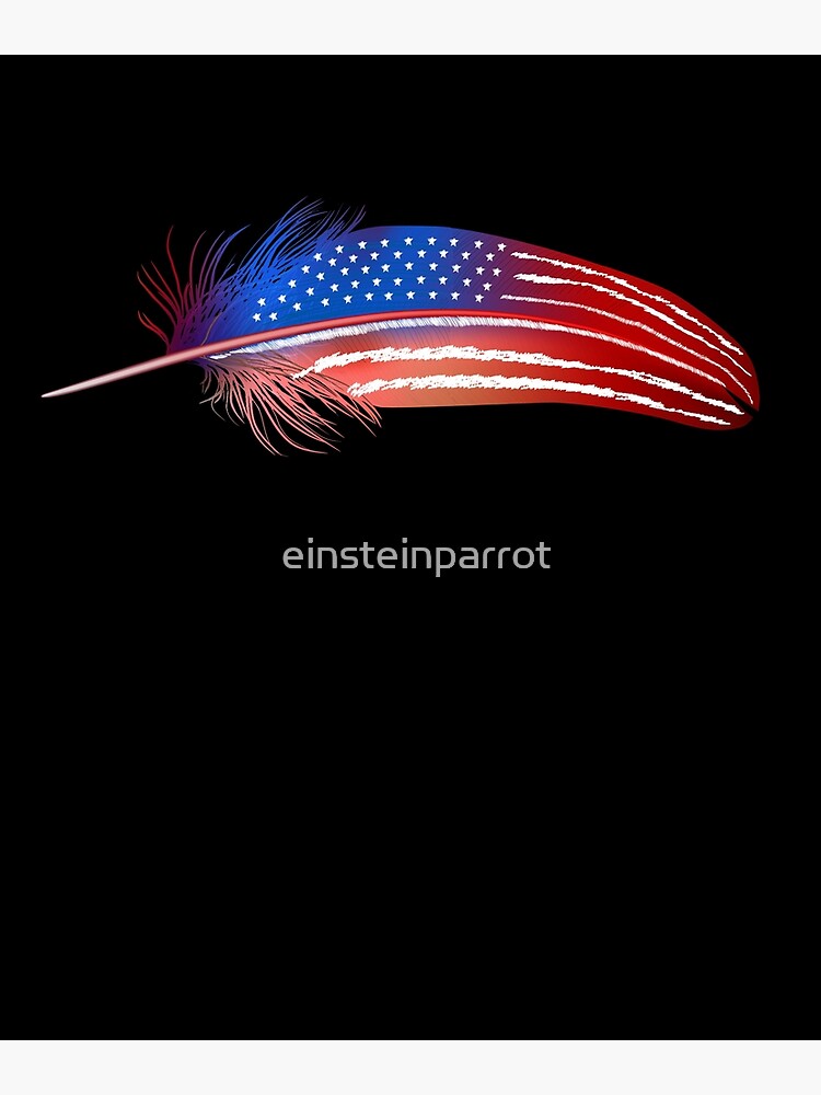 "Native American Veteran Flag Day Feather for July 4th " Poster by ...