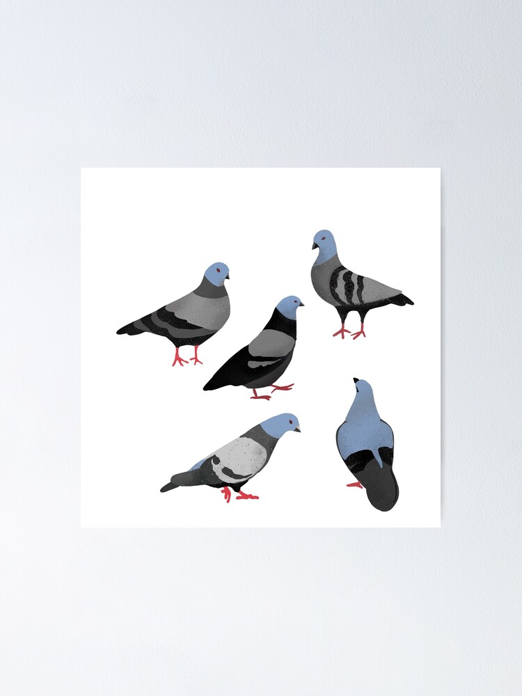 "Design 33 - The Pigeons" Poster for Sale by divafern | Redbubble