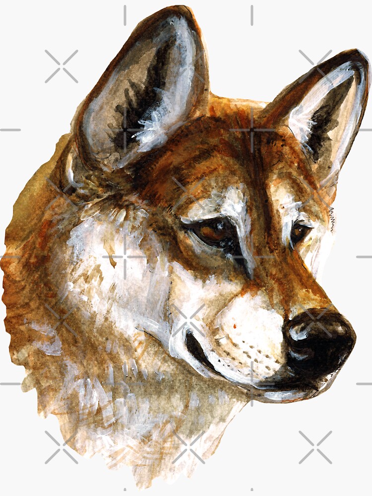 "Totem Australian dingo" Sticker for Sale by belettelepink | Redbubble