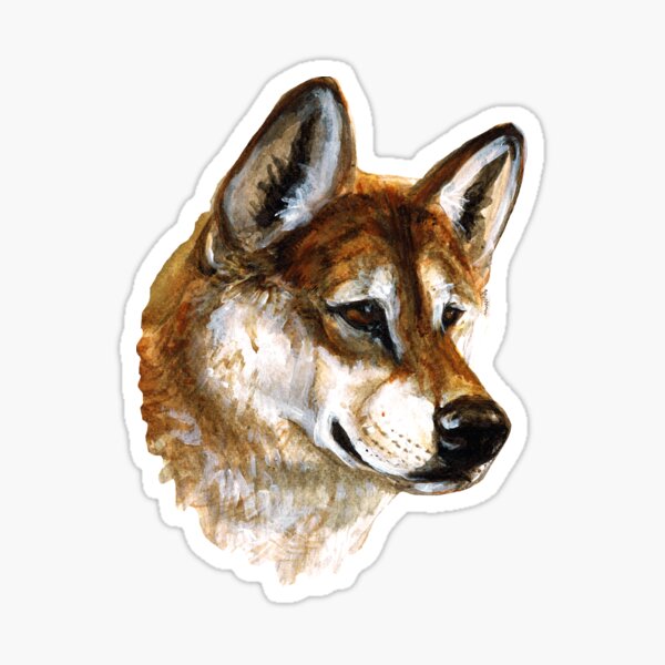 "Totem Australian dingo" Sticker for Sale by belettelepink | Redbubble