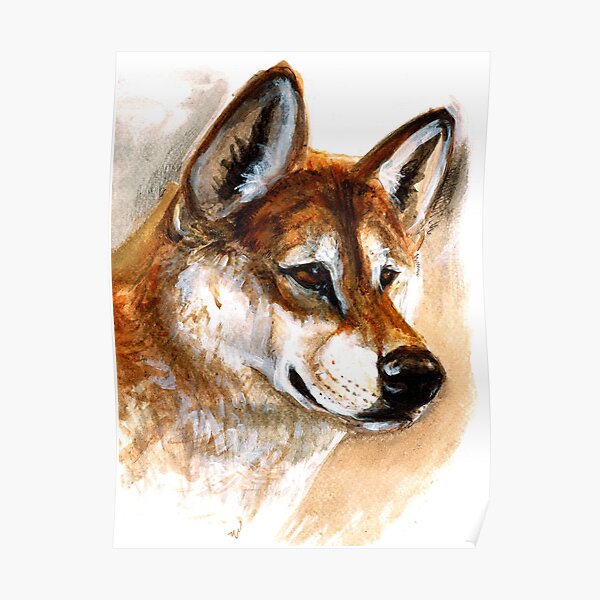 "Totem Australian dingo" Poster by belettelepink | Redbubble