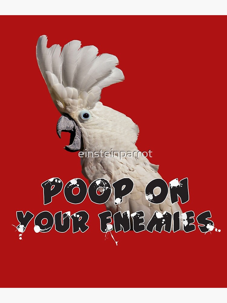 "Umbrella Cockatoo Parrot Poop on Enemies " Poster by einsteinparrot ...
