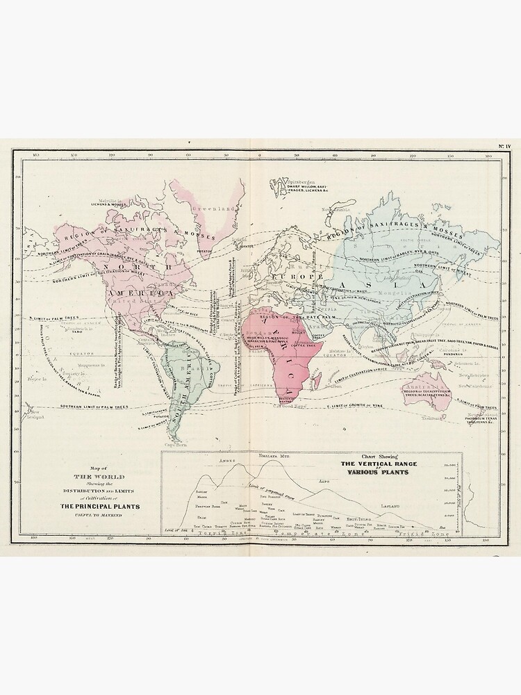 "Vintage Agricultural Map of The World (1865)" Art Print by ...