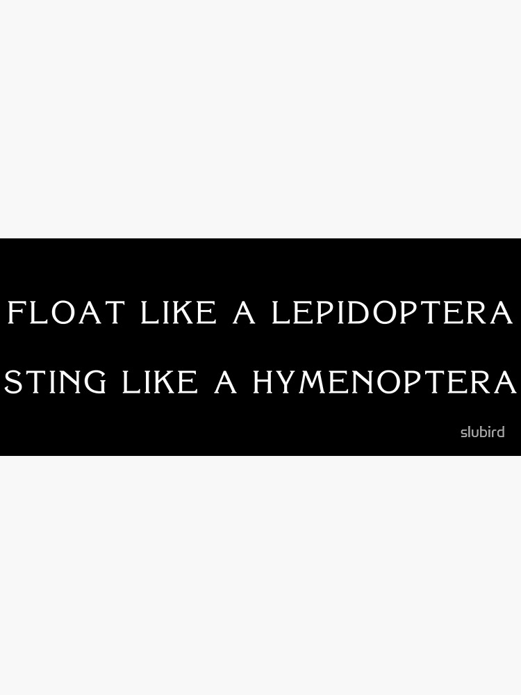 "Float Like A Lepidoptera, Sting Like A Hymenoptera" Photographic Print ...