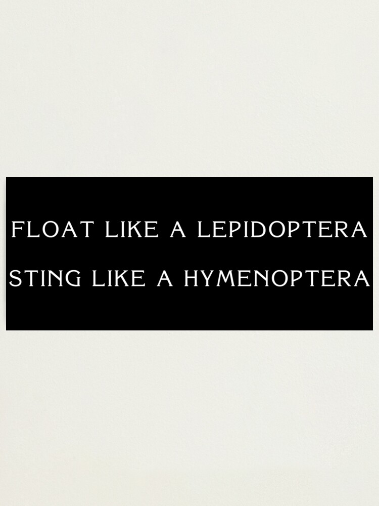 "Float Like A Lepidoptera, Sting Like A Hymenoptera" Photographic Print ...
