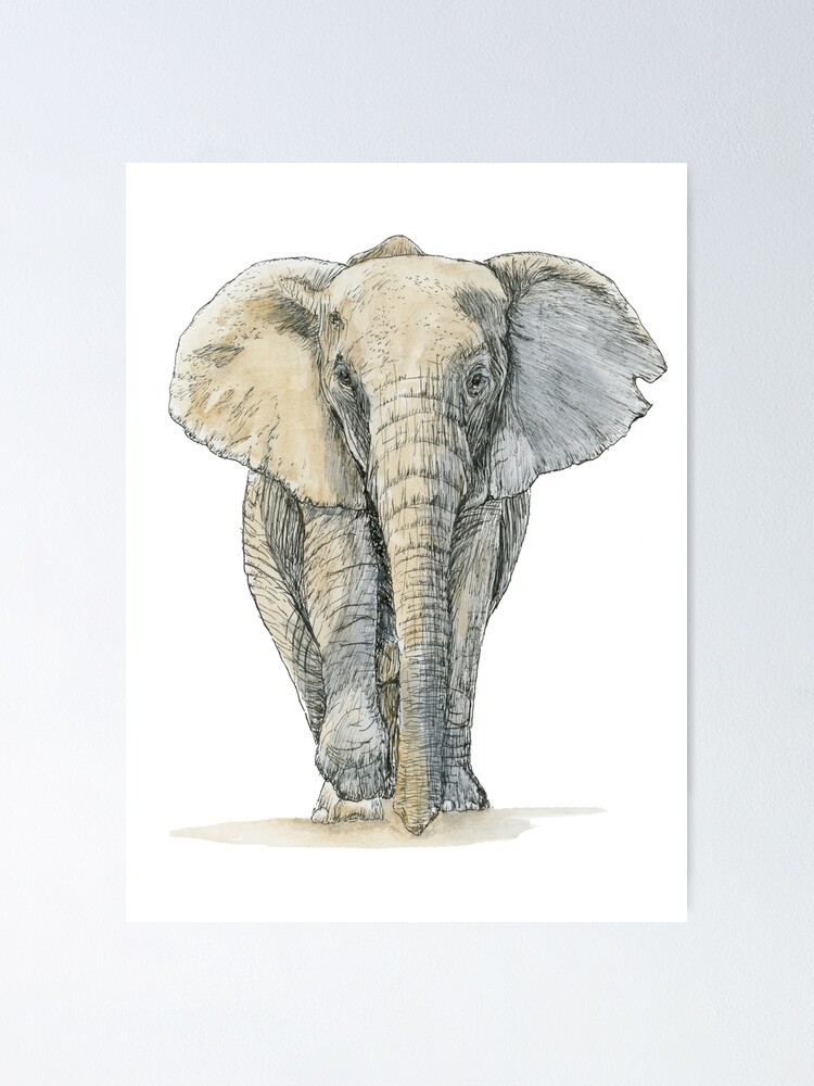 "Elephant" Poster for Sale by Lristau | Redbubble