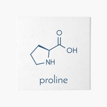 "Prolin (L-Prolin, Pro) Aminosäuremolekül. Skelettformel." Galeriedruck ...