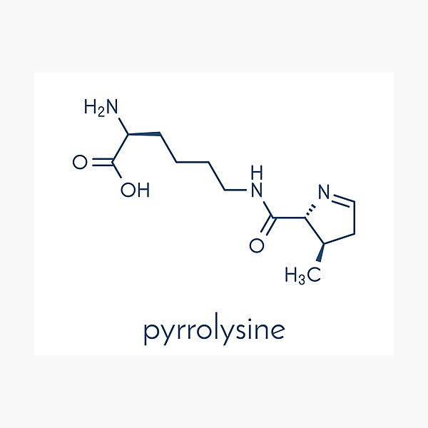 Pyl Gifts & Merchandise for Sale | Redbubble