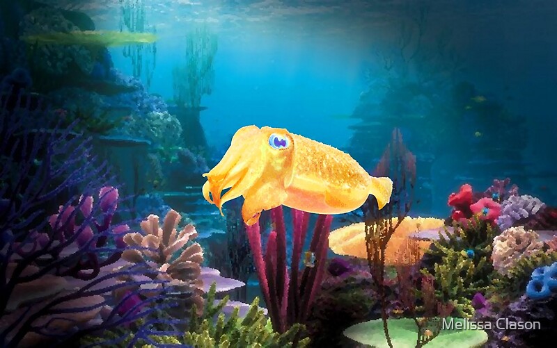 "Cute Cuttlefish" by Melissa Clason | Redbubble