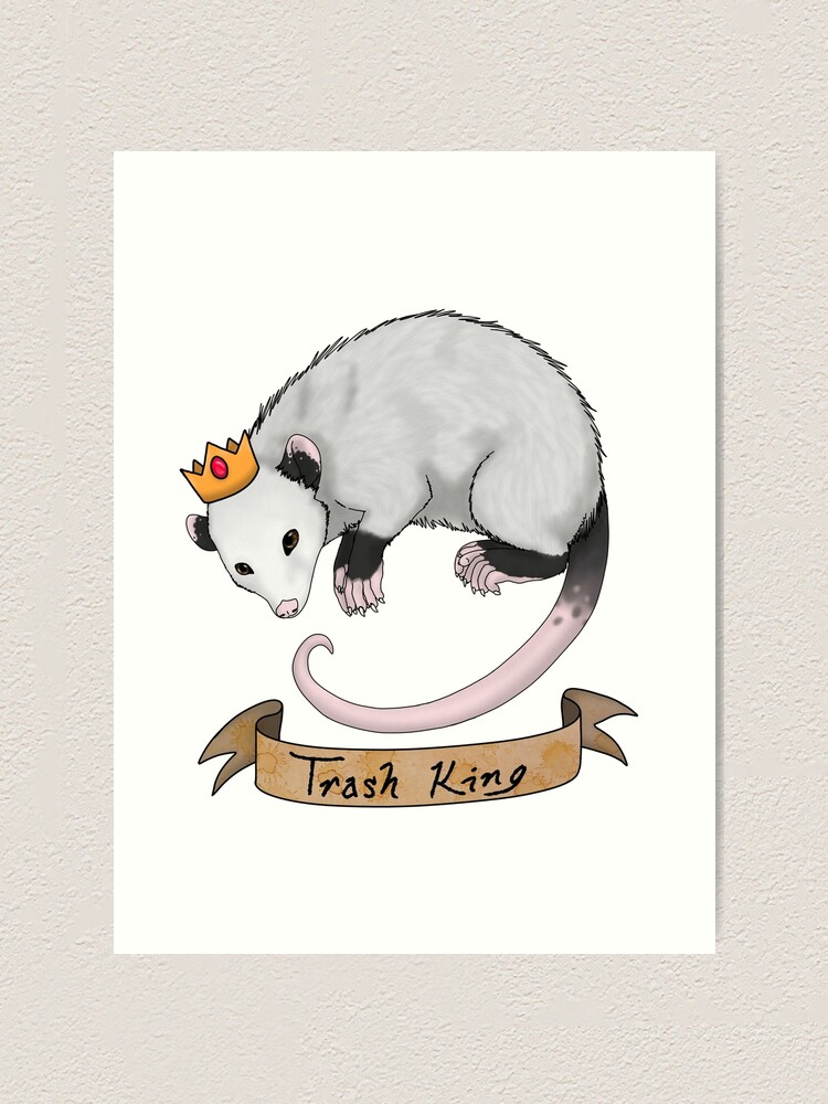 "Trash King Opossum Possum" Art Print for Sale by arccitius | Redbubble