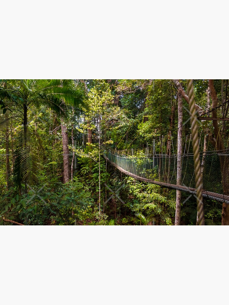 "Rainforest Bridge" Sticker for Sale by H-AB | Redbubble