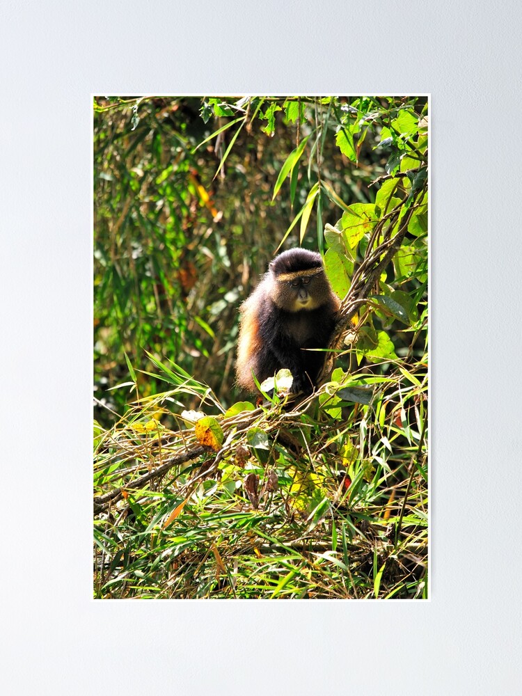 ""Who is he?"" Poster by AndreasKoerner | Redbubble