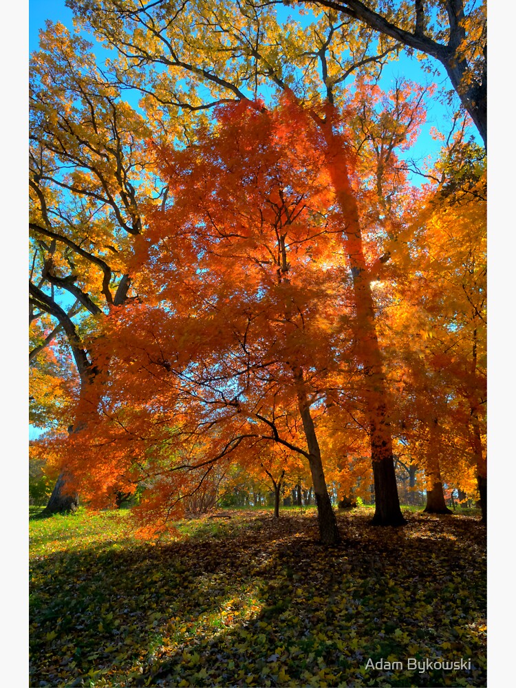 "Beaming Orange" Sticker by Bykowski | Redbubble