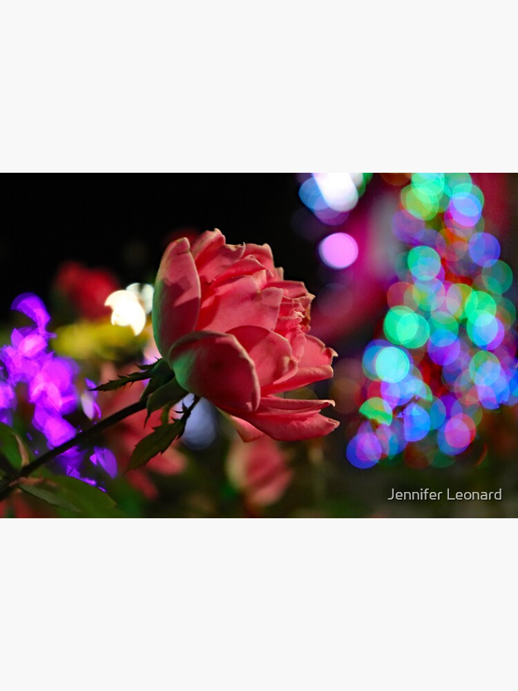 "Rose Bokeh" Sticker by SunsetRisingArt | Redbubble